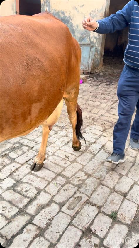 Dr Umar Khan Mpd L Dr Umar Khan Instagram