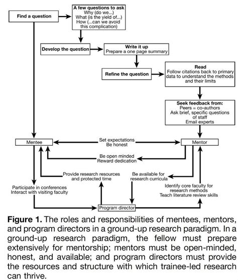 Eutrophication Process Flow Chart