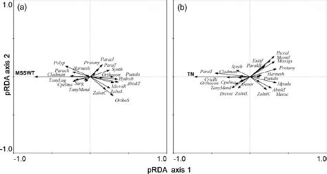Species Arrows In A Singly Constrained Partial Redundancy Analysis