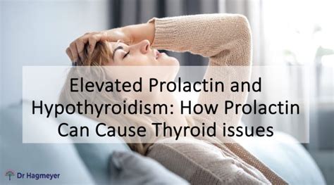 Elevated Prolactin And Hypothyroidism How Prolactin Can Cause Thyroid Issues Dr Hagmeyer