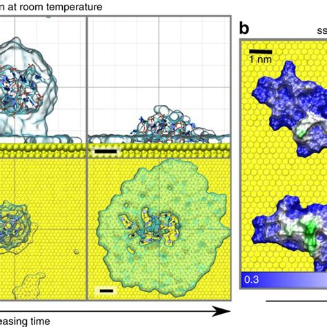 Molecular Dynamics Simulations Of Adsorption And Diffusion On Au 111 Download Scientific
