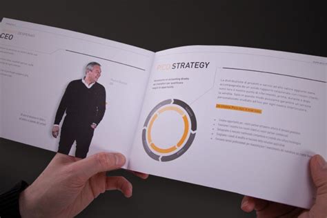 Pico Behance Pico Behance Strategies