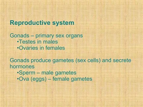 Reproductive20 System 1 Ppt