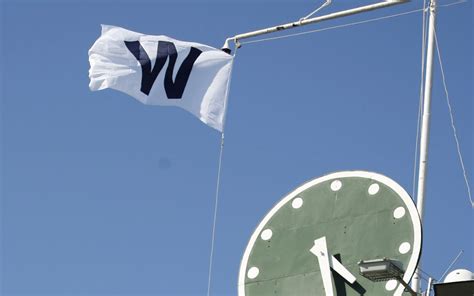Chicago Cubs Stadium Dude