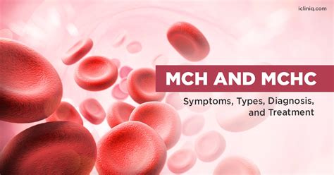 What Is MCH And MCHC