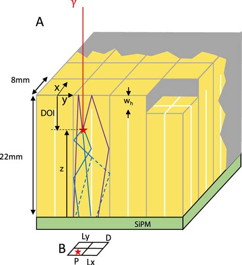 A Novel Block Design Made Of 8 × 8 × 22 Mm³ Crystal Sub Blocks Download Scientific Diagram
