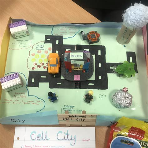 Cell City Model Lego Animal Cell Youtube