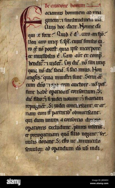 Livro Das Aves Is A Historical Bird Book Providing Detailed