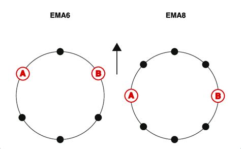 Microphone Distribution Of The Ema With Six Microphones Left And