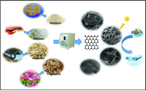 Scheme 1 Schematic Illustration Of Synthesis Procedure Download Scientific Diagram
