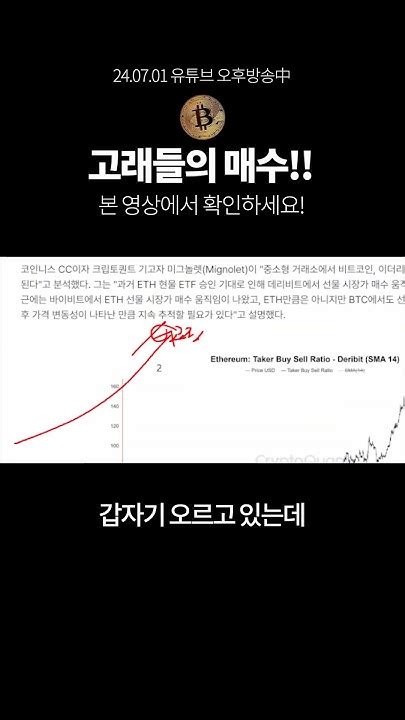 고래들의 시장가 매수 비트코인 상승장 이더리움 Youtube