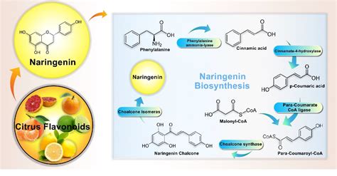 Figure 2 From Targeting The Vital Non Structural Proteins Nsp12 Nsp7