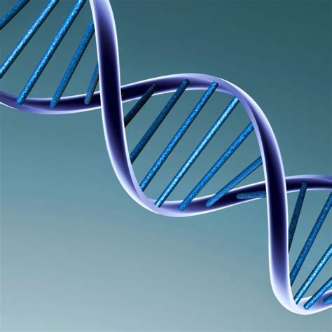 Jacques Smith Youtube