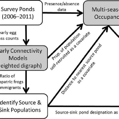 Pdf Demographic Network And Multi Season Occupancy Modeling Of Rana Sylvatica Reveal Spatial