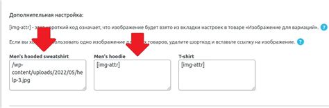 Документация Quasar Variable Attributes