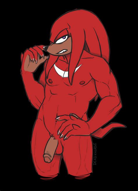 Rule 34 5 Fingers Anthro Balls Chest Markings Crypticruins Echidna