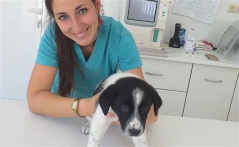 4 та жертва на потопа Откриха тялото на д р Даниела Йорданова дъщеря на съдия Москова