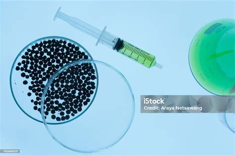 삼각 플라스 크 내에 함유 된 화학 물질을 포함 하는 주사기 화학 및 페 트리 디쉬는 약간의 검은 후추 곡물을 갖는다 흰색 배경에 배치 Stem 주제에 대한 스톡 사진 및