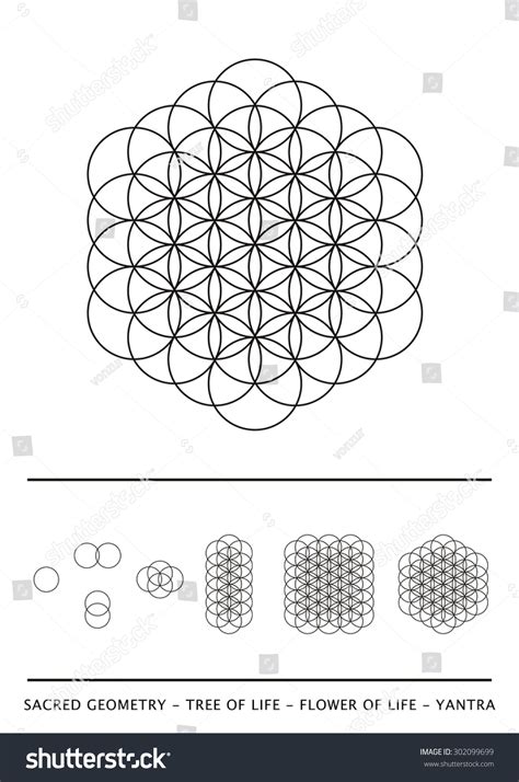 Sacred Geometry Tree Life Flower Life Stock Vector Royalty Free 302099699 Shutterstock