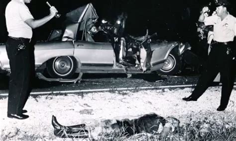 Jayne Mansfield Crash Dog