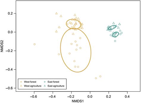 non‐metric multidimensional scaling visualizing dissimilarity between