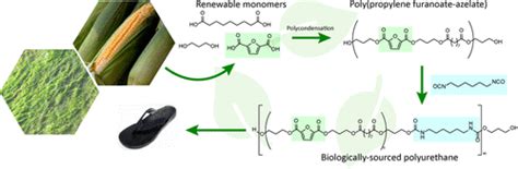 Renewable And Biodegradable Polyurethane Foams With Aliphatic Diisocyanates Macromolecules
