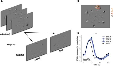 Figure 1 From Spatial Specificity And Inheritance Of Adaptation In
