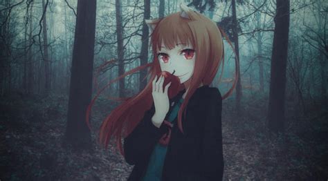 Holo Spice And Wolf Wallpaper Hd Anime K Wallpapers Images And Background Wallpapers Den