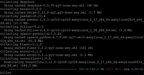 Deepface Being Killed In Python38 Slim Container · Issue 366