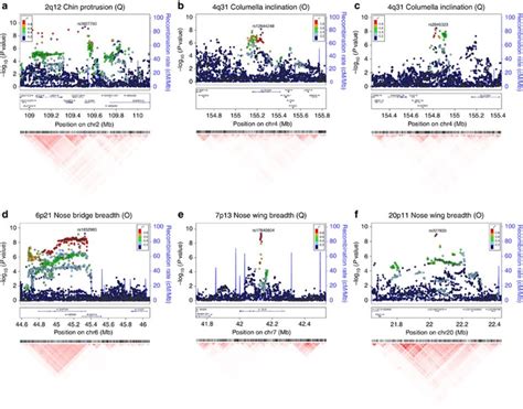 a genome wide association scan implicates dchs2 runx2 gli3 pax1 and