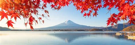 Daniel Hanbury Dippfs On Linkedin Weekwatch 22 05 2023