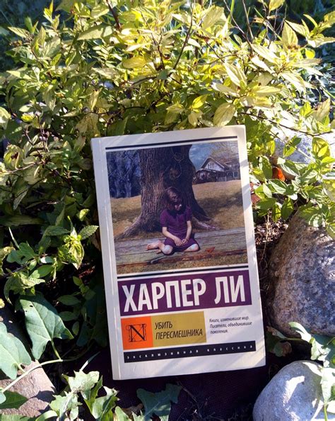 Почему убить пересмешника грех? Скрытый смысл романа | Дядюшка Ремарк ...
