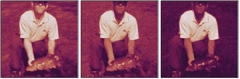 Lovely Jax 💘 Lovely Jax