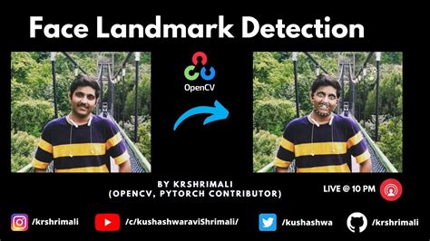 Face Landmark Detection Opencv C Python Dl Ai Krs Github