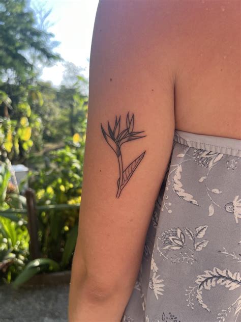 Bird Of Paradise Tattoo From Javier Gomez In Costa Rica Rtattoos