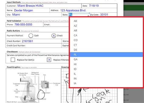 Document Editor Guide Web Forms NaturalForms Support