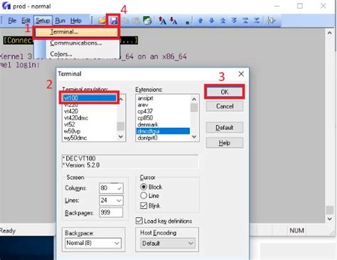 colleague terminal colon prompt users updates for linux support hub