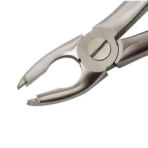 Serrated Forceps Vs Non Serrated Forceps Different Types Of Dental Ex