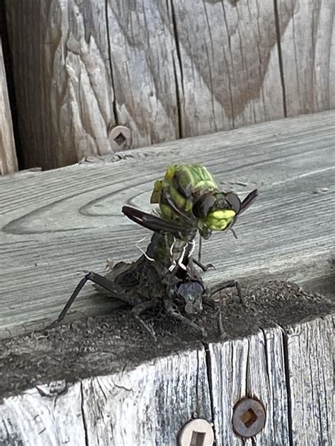 What Is This R Biology