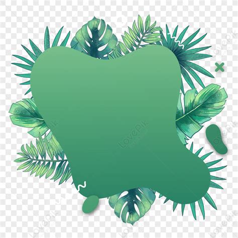 Summer Tropical Leaves Abstract Fluid Border Cool Plant Season PNG Transparent Background And