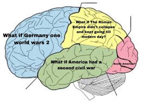 Brain Mapping Rimaginarymapscj