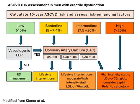 Erectile Disfunction As An Ascvd Risk Enhancing Factor Highlights From Erectile Disfunction As An Ascvd Risk Enhancing Factor Highlights From