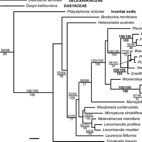 Tree Constructed With Maximum Likelihood For The Ssu Alignment Values