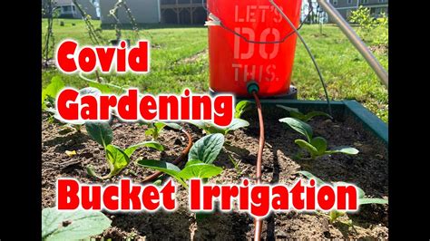 Diy Bucket Drip Irrigation