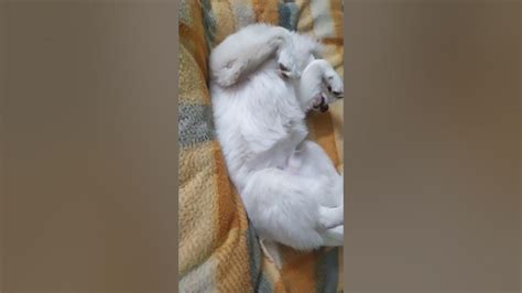 Neend Me Fasclass Youtube