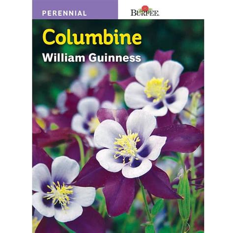 Burpee William Guinness Columbine Flower Seed 41848 The Home Depot