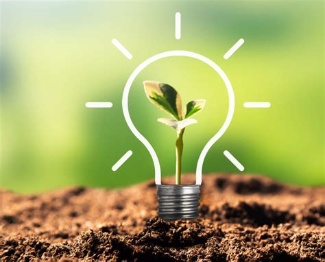 Why Innovation Is The Bridge That Connects Traditional Healthcare