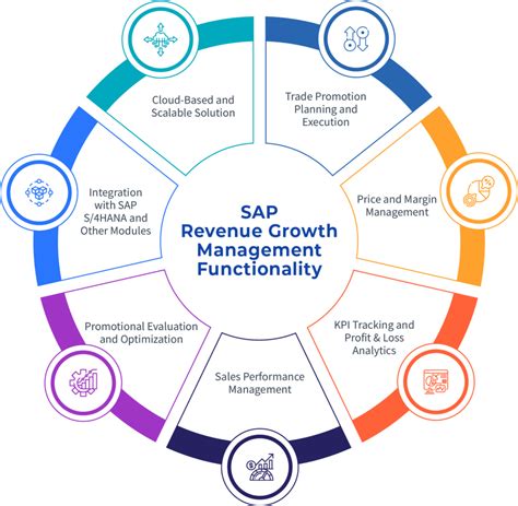 Sap Revenue Growth Management Ang Infotech