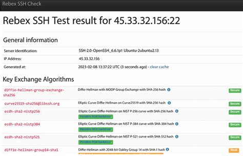 Проверка безопасности Ssh сервера Ssh Audit онлайн
