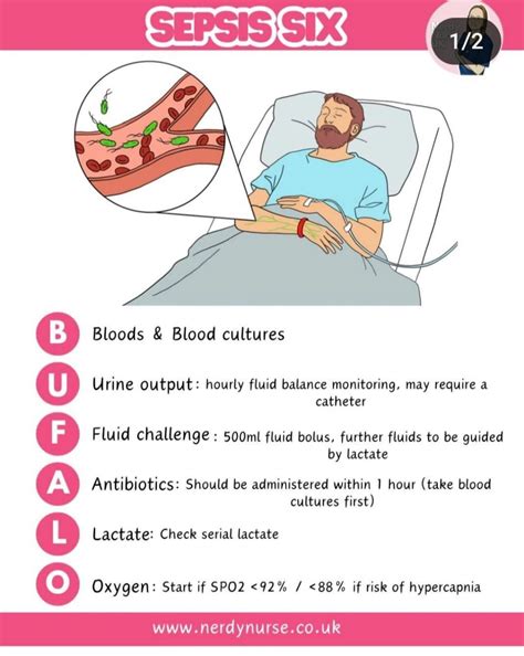 Drmuhammad Noman On Linkedin Sepsis Six